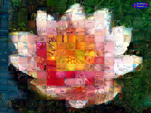 comment créer une mosaïque avec plusieurs photos - mosaïque d'image